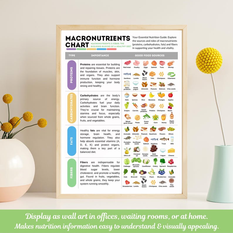 Nutrition Posters Bundle Vitamins Minerals Macronutrients Digital ...