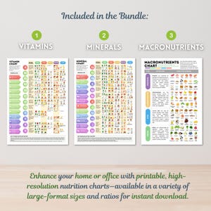 Nutrition Posters Bundle Vitamins Minerals Macronutrients Digital ...