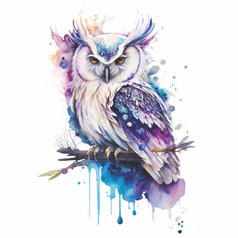Watercolor Owl Digital Art, Owl Artwork, Owl Png, Birds, High ...
