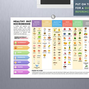 Healthy Gut Microbiome Chart Healthy Eating Reference Guide Printable ...