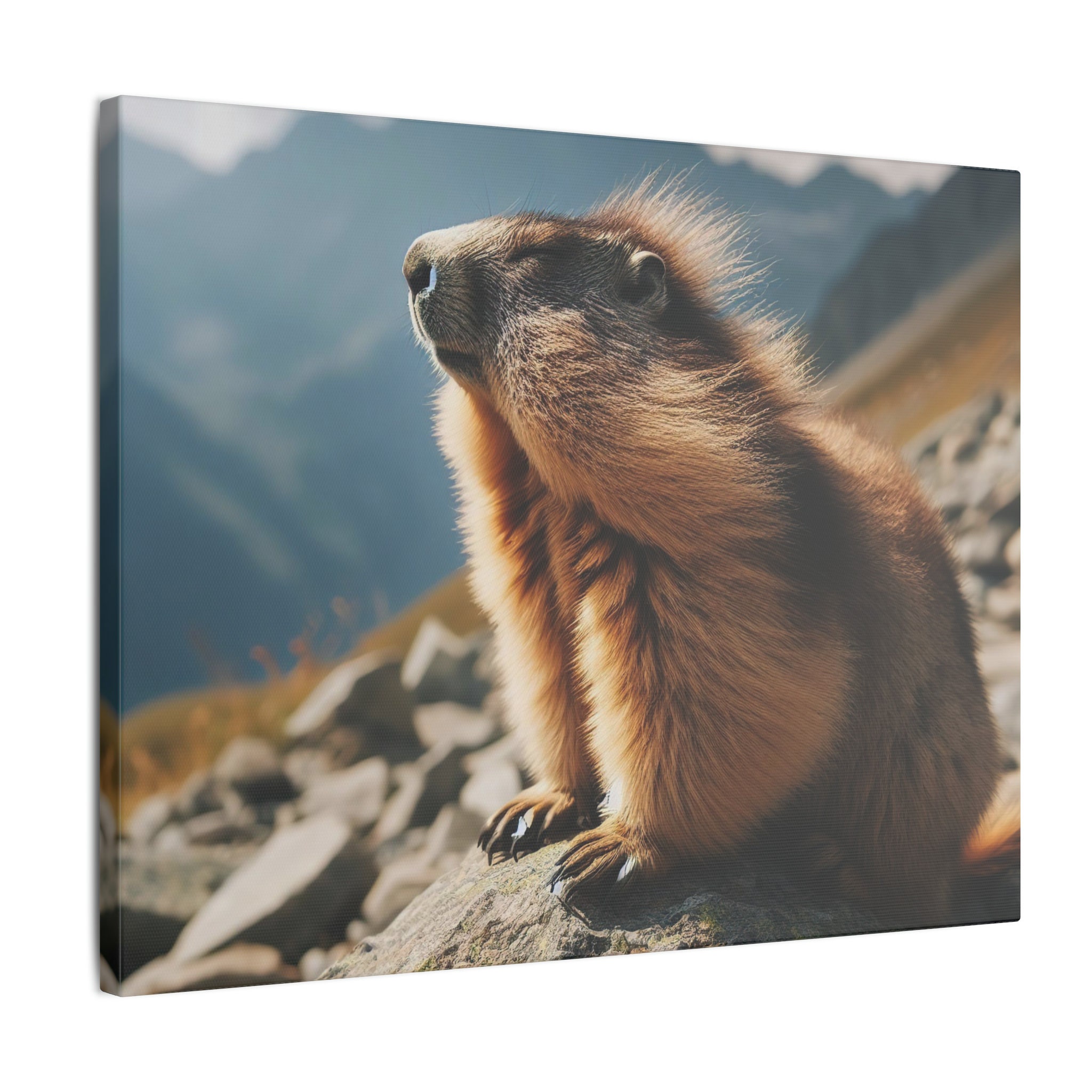 Marmot Canvas Picture, Wall Picture Print, Wild Animal, Canvas Wall Art ...