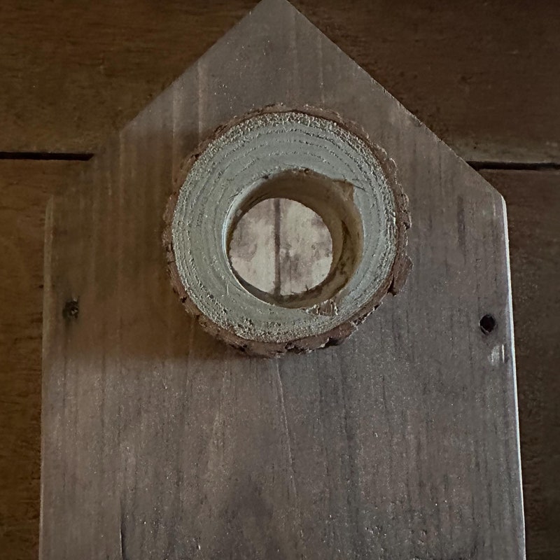 Bird House Predator Guard - Etsy