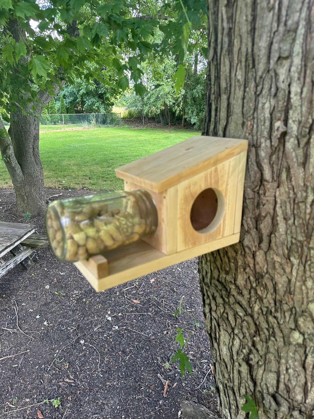 Squirrel Peanut Feeder - Includes Mason / Ball Jar - Etsy