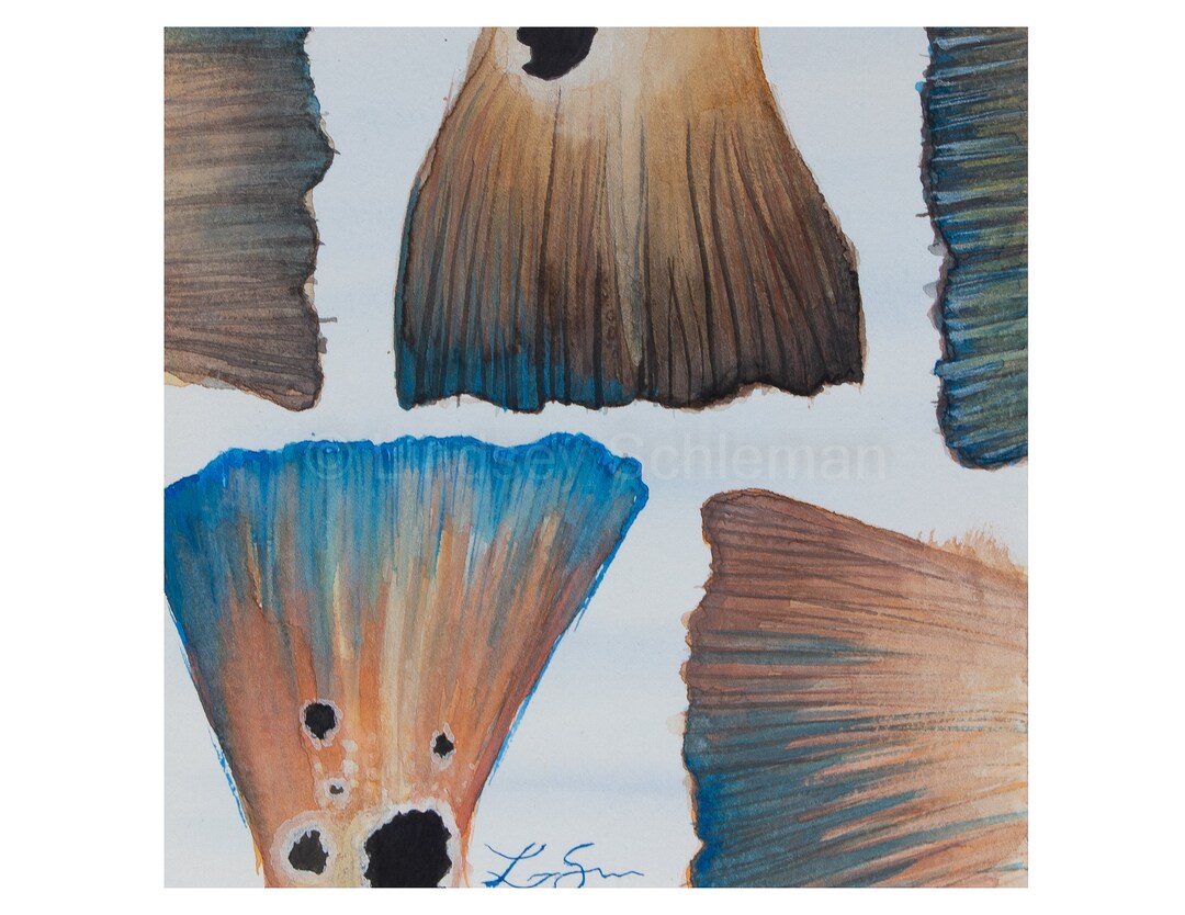 Red Drum Tails Watercolor Painting, Fine Art Print - Etsy
