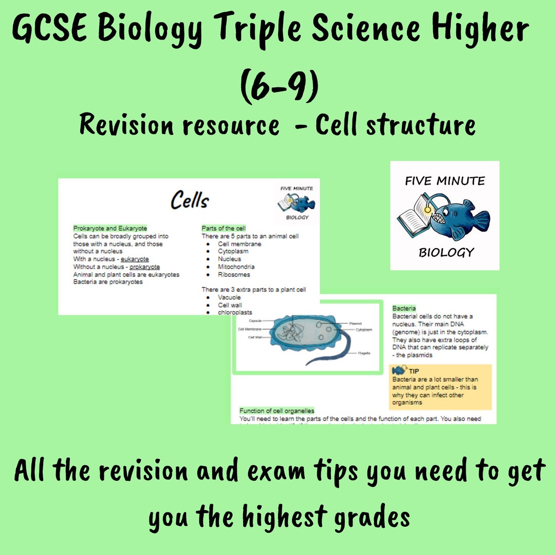 GCSE AQA Biology Triple Science Cells Revision Sheet for Higher Tier ...