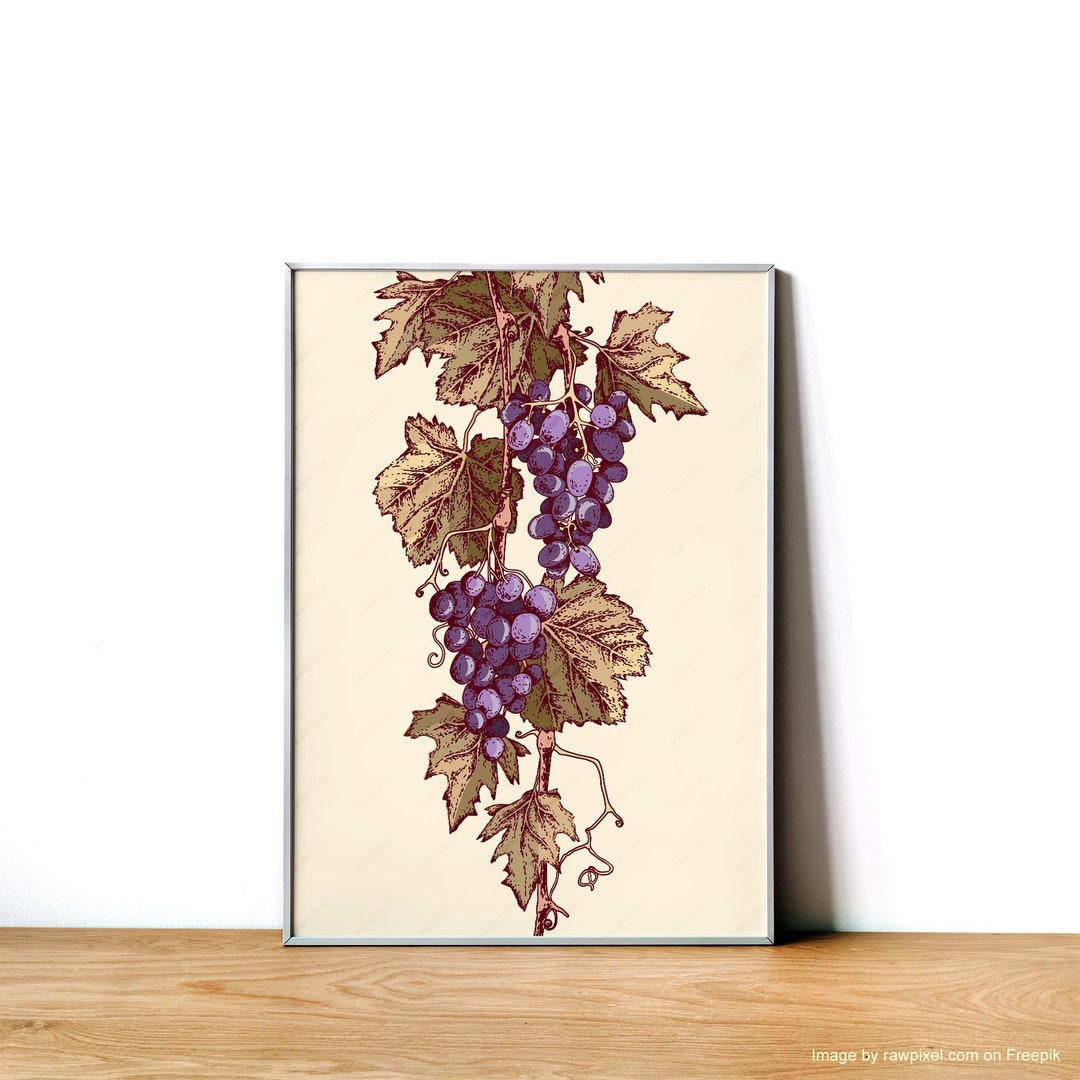Grapevine-2 Poster, Fruit Illustration, Download Picture, Vintage ...