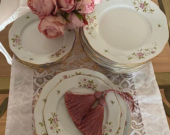 Set of 18 Pieces of Bohemian Porcelain Plates - Etsy