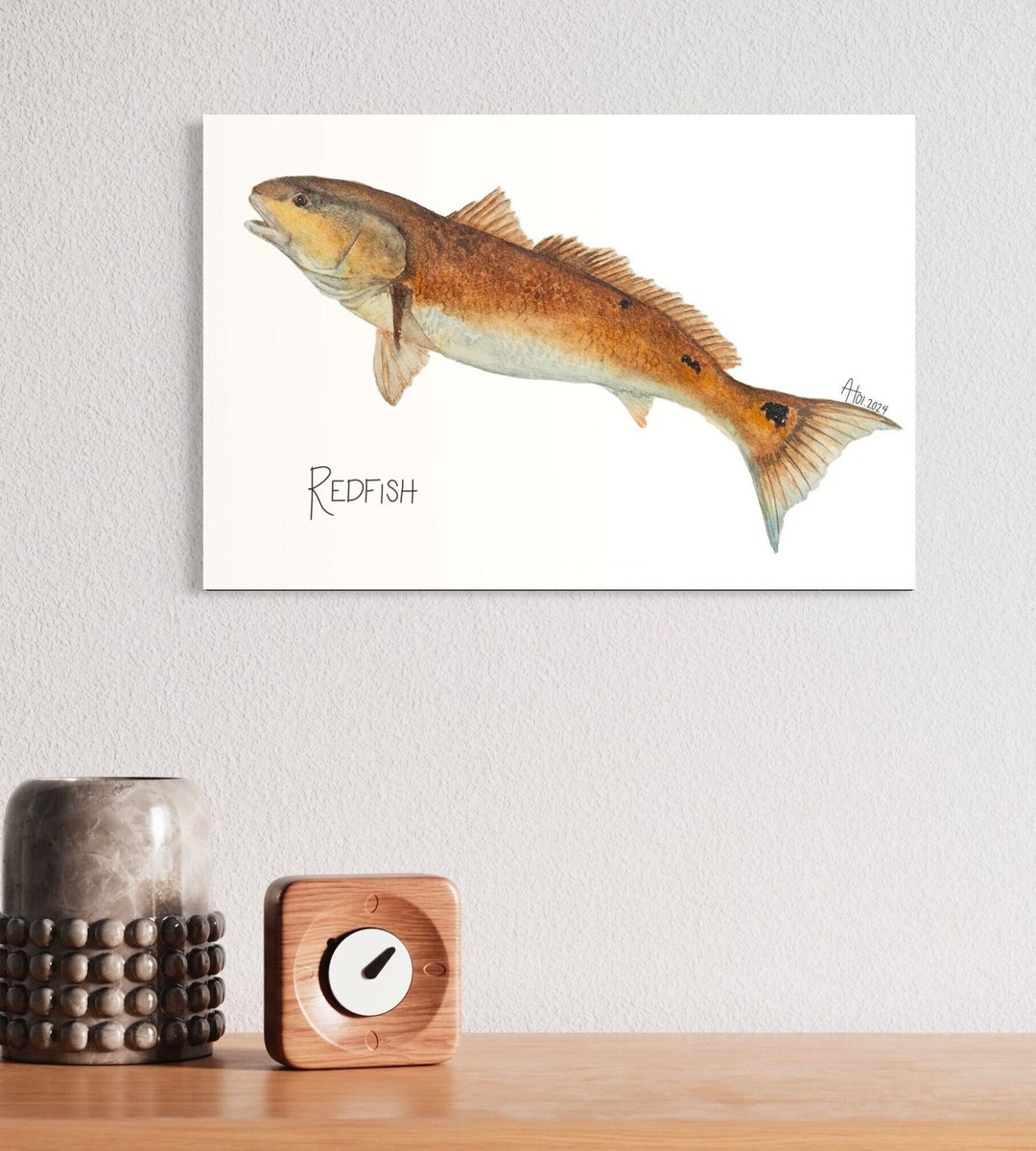 Redfish With Three Spots Watercolor Print - Etsy