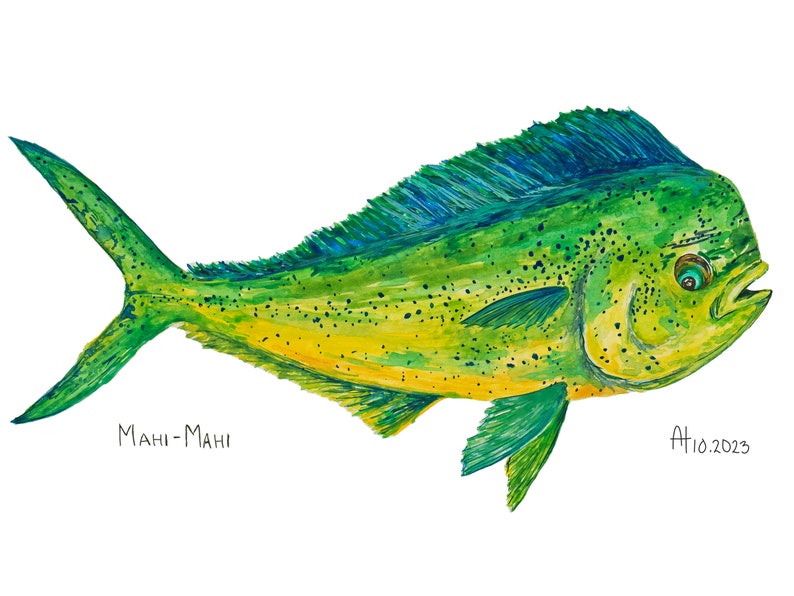 Mahi-mahi Watercolor Print 9" X 12" - Etsy