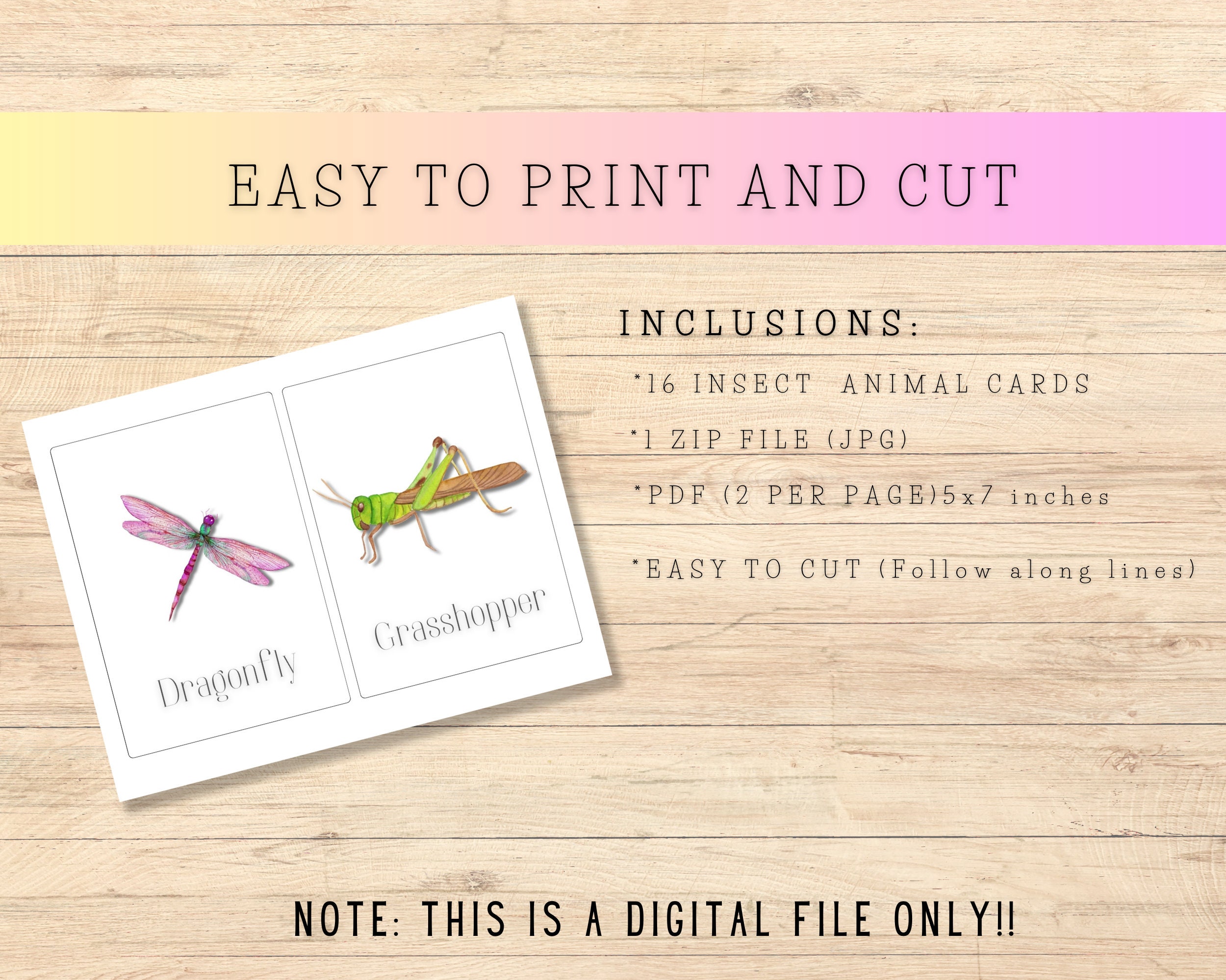 16 Insects Flashcards, Montessori Cards, Printable Flashcards ...