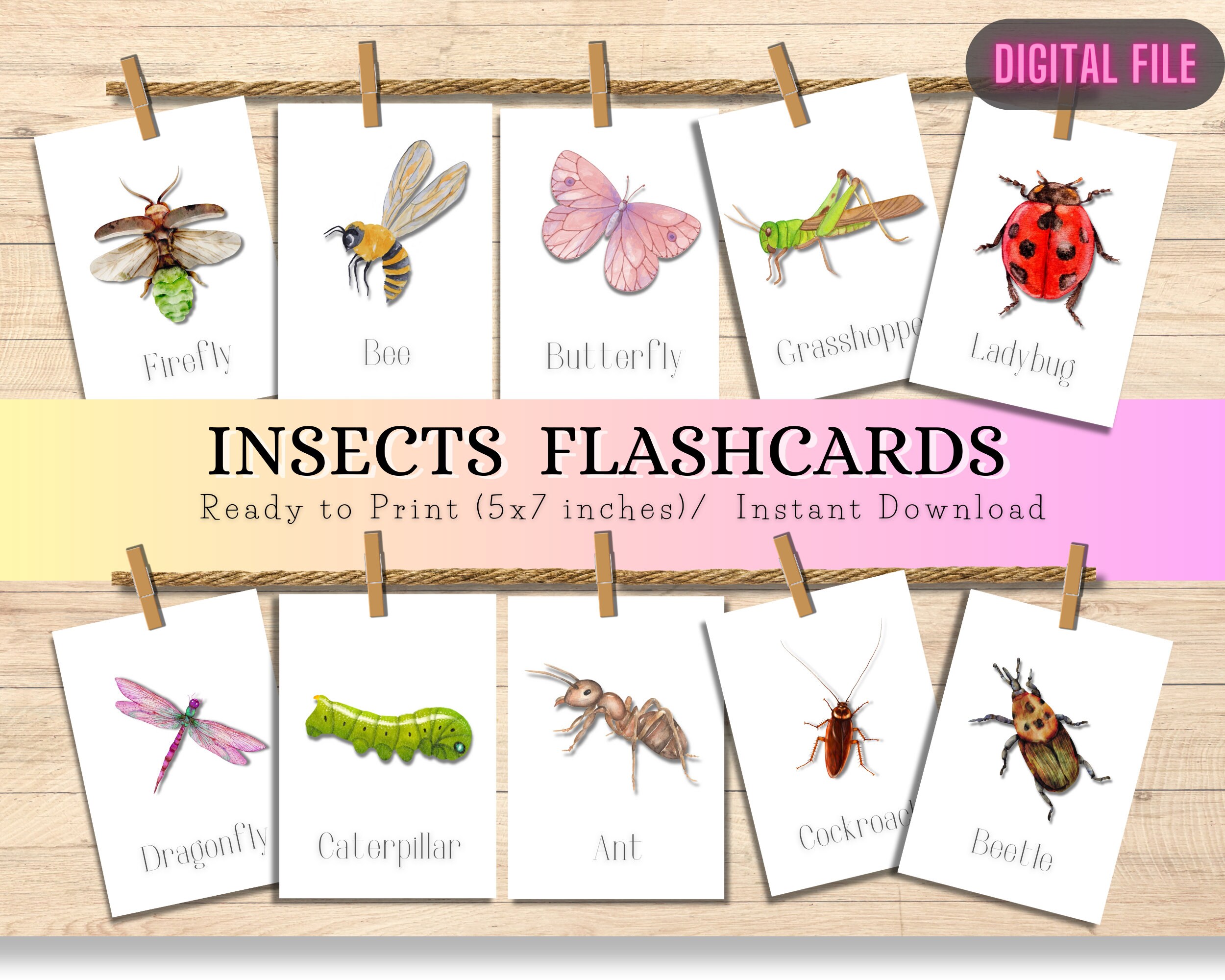 16 Insects Flashcards, Montessori Cards, Printable Flashcards ...