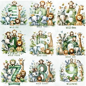 Safari Birthday Party Clipart Set - Watercolor Jungle Animals, Safari ...
