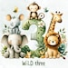 Safari Birthday Party Clipart Set Watercolor Jungle Animals, Safari ...