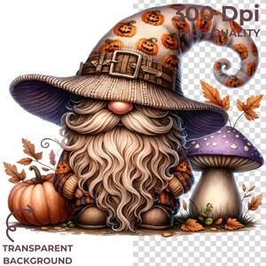 Fall Gnome Clipart, Gnome Clipart Bundle 27 Png, Autumn Gnome Png ...
