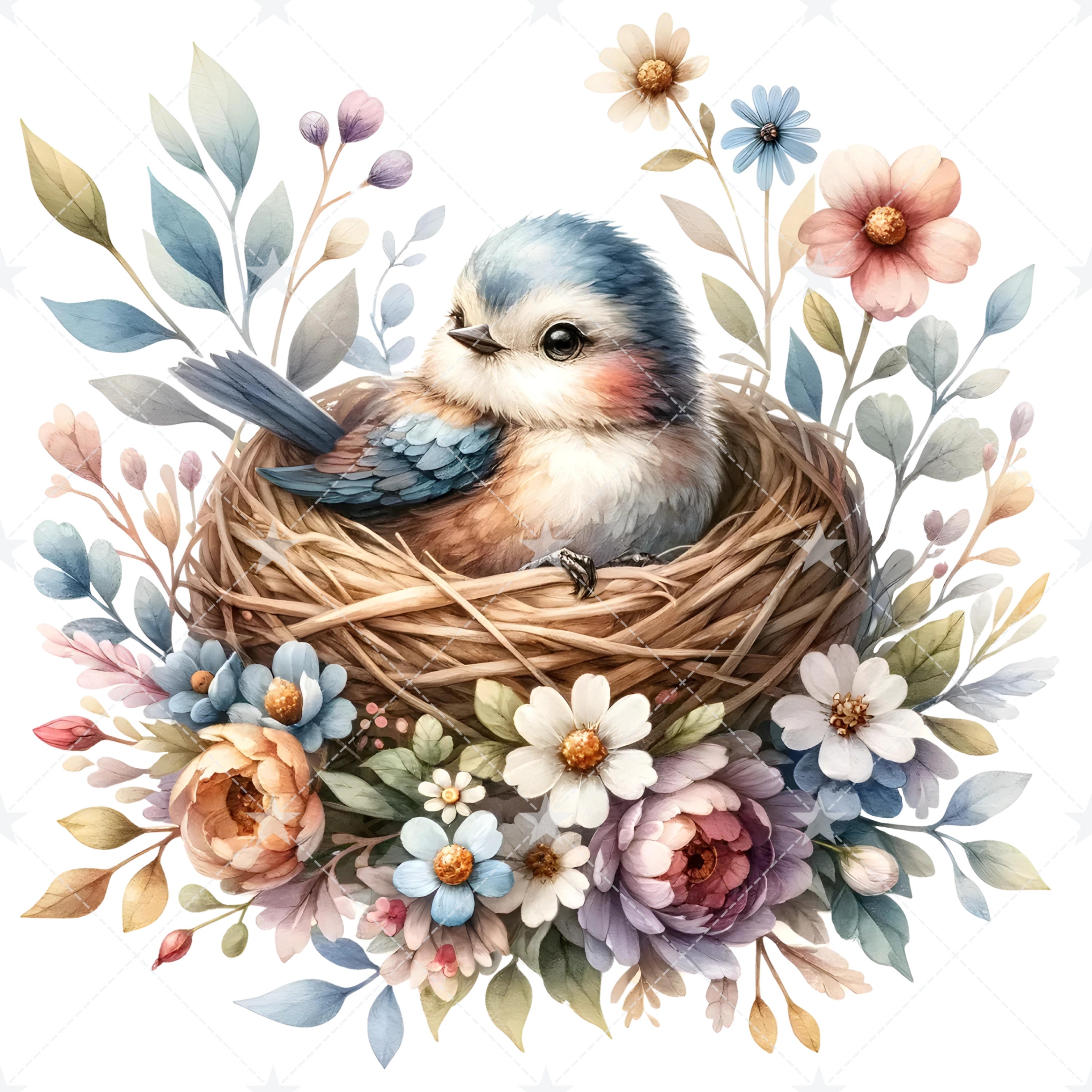 Charming Garden Bird in Floral Nest, Cute Bird Clipart, Watercolor Bird ...