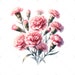 Watercolor Carnation Flowers Clipart, Set of 10, Carnation Floral ...