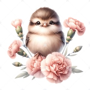 Watercolor Carnation Bird Clipart Set, Pink Floral Digital PNG, Bird ...