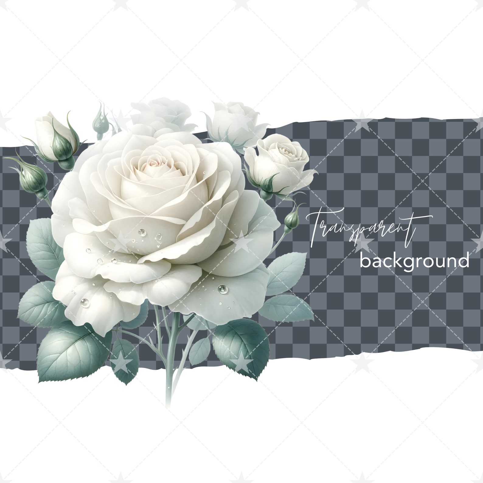 Soft Roses Clipart, Watercolor Rose Set, Flowers Print, Floral Clipart ...