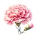 Watercolor Carnation Flowers Clipart, Set of 10, Carnation Floral ...