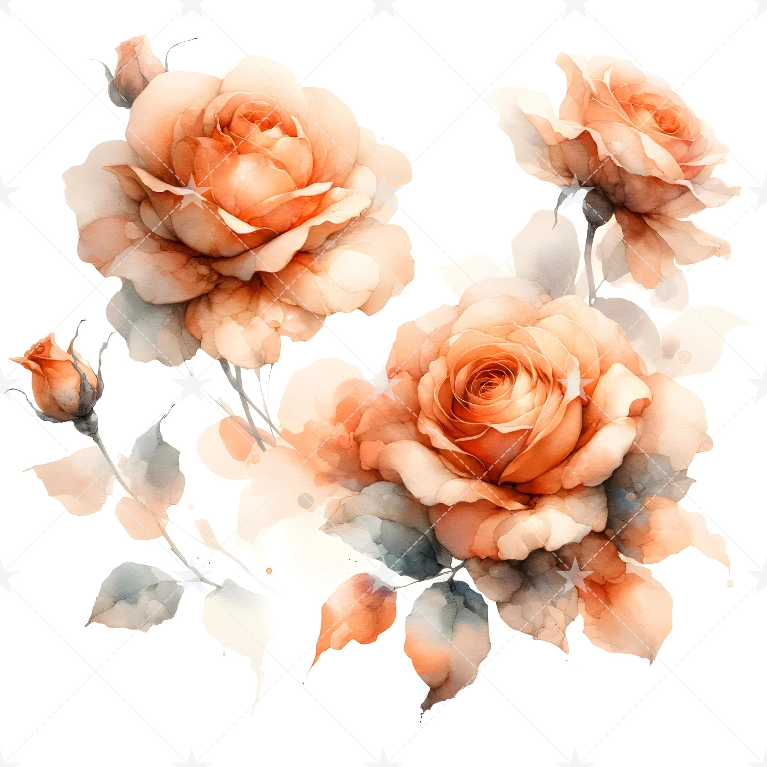 Watercolor Abstract Orange Roses Clipart, 10 JPG Images, Flowers Print ...
