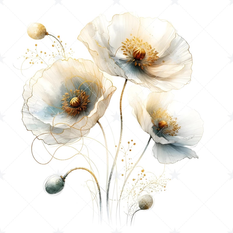 Abstract Poppy Flowers Clipart, Watercolor Flower Set, Jpgs, Floral ...