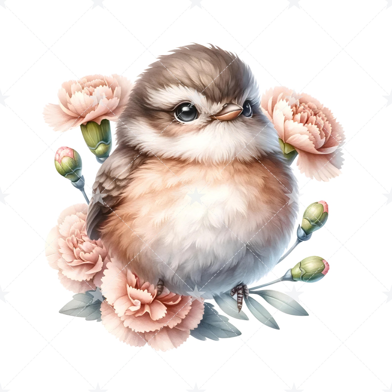 Watercolor Carnation Bird Clipart Set, Pink Floral Digital PNG, Bird ...