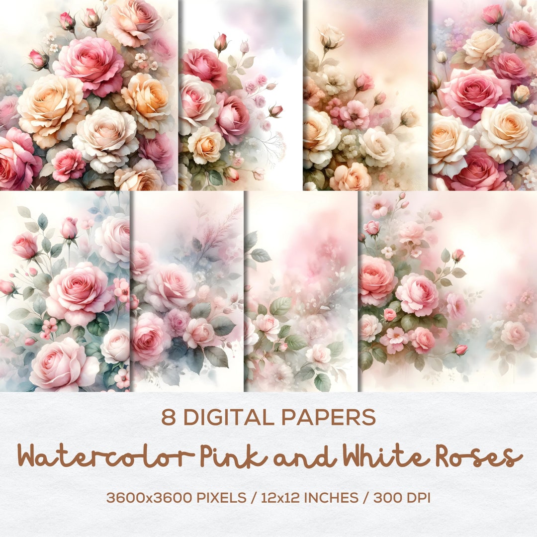 Watercolor Pink and White Roses Digital Paper Pack, Flower Background ...