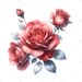 Soft Roses Clipart, Watercolor Rose Set, Flowers Print, Floral Clipart ...