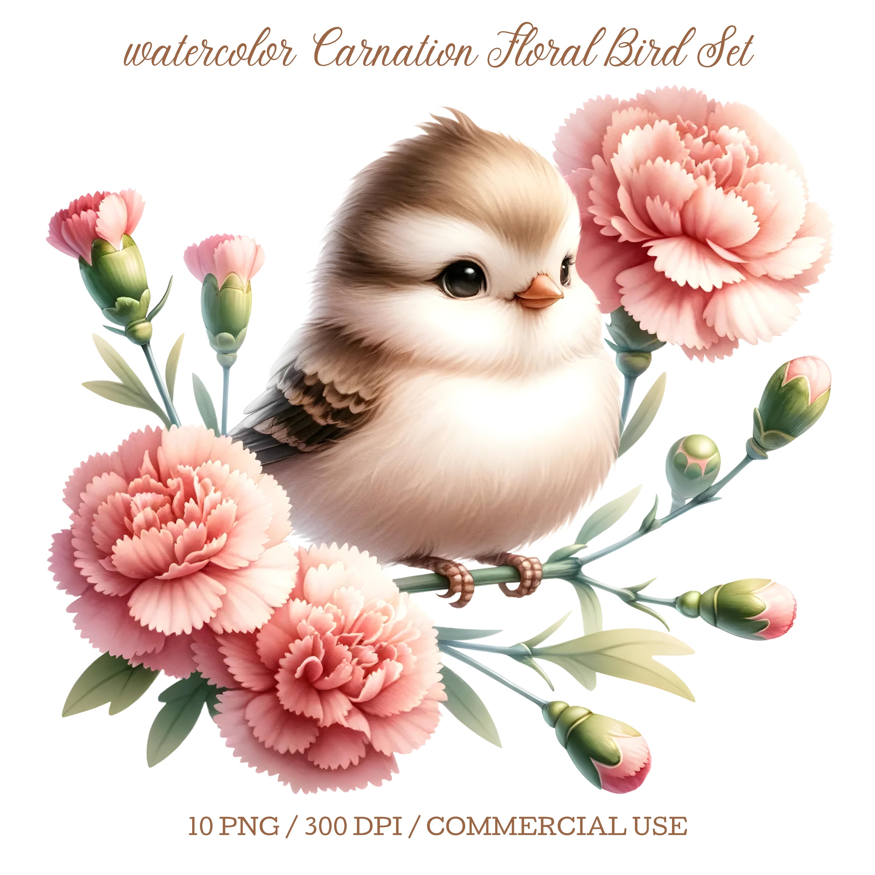 Watercolor Carnation Bird Clipart Set, Pink Floral Digital PNG, Bird ...