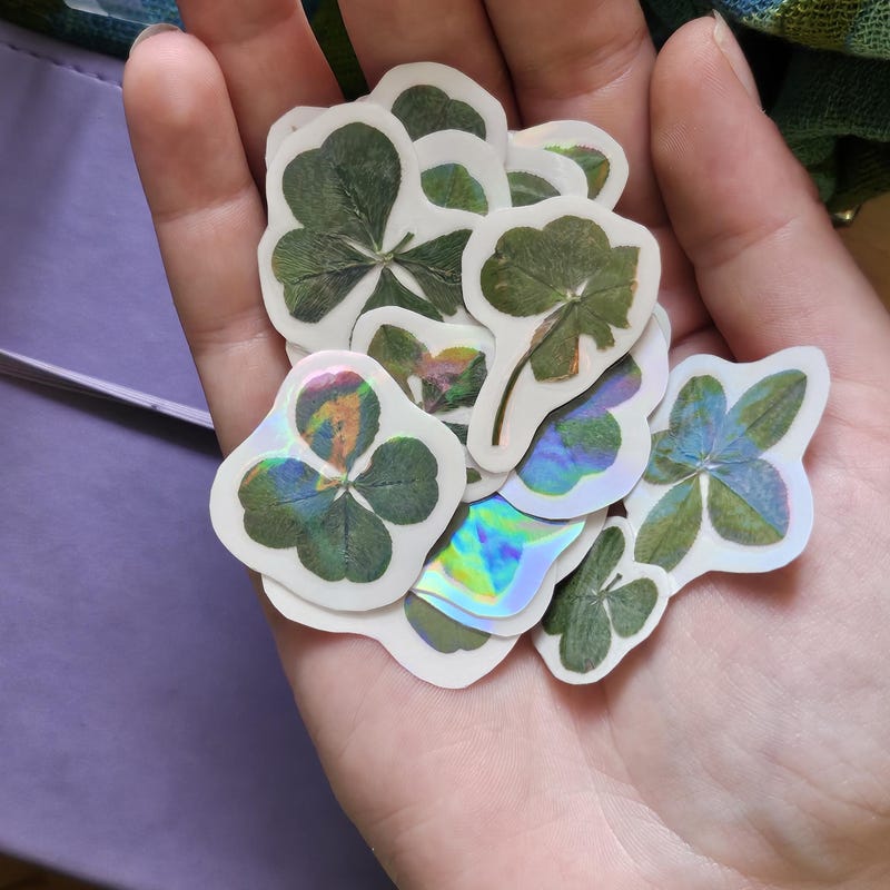 Clover Bottle - Etsy