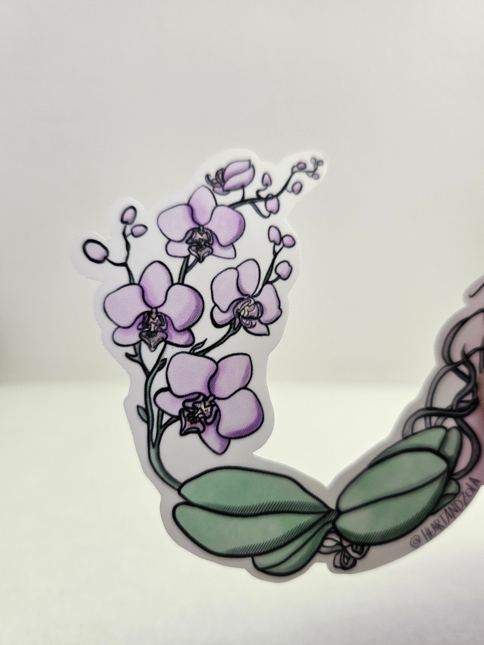 Orchid Vinyl Stickers, Freehand Stickers, Waterproof Outdoor Vinyl ...