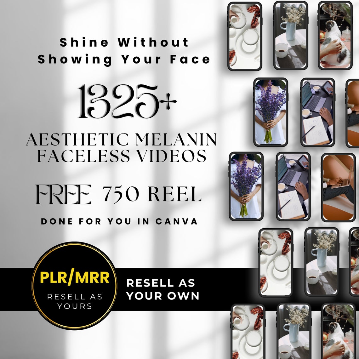 2000+ Faceless Aesthetic Videos for Instagram Reels Mega Bundle, Master Resell Rights, PLR MRR ...