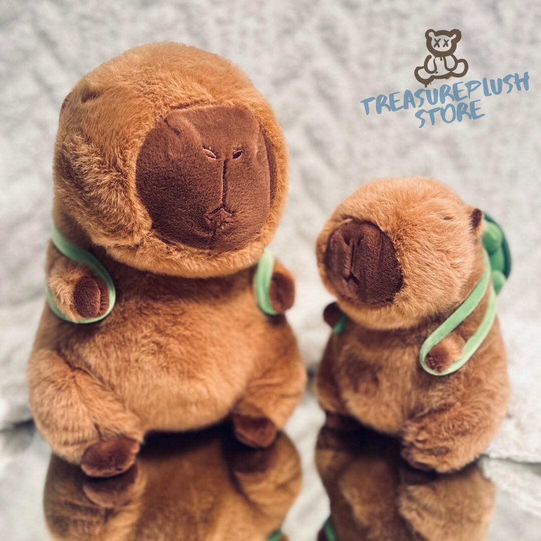 Capybara Plush Gift , Personal Plush, Gifted Plush, Adorable Plush ...