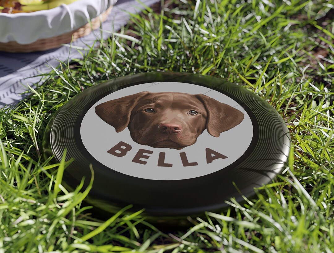 Pet Portrait Frisbee, Custom Wham-o Frisbee, Dog Portrait Frisbee ...