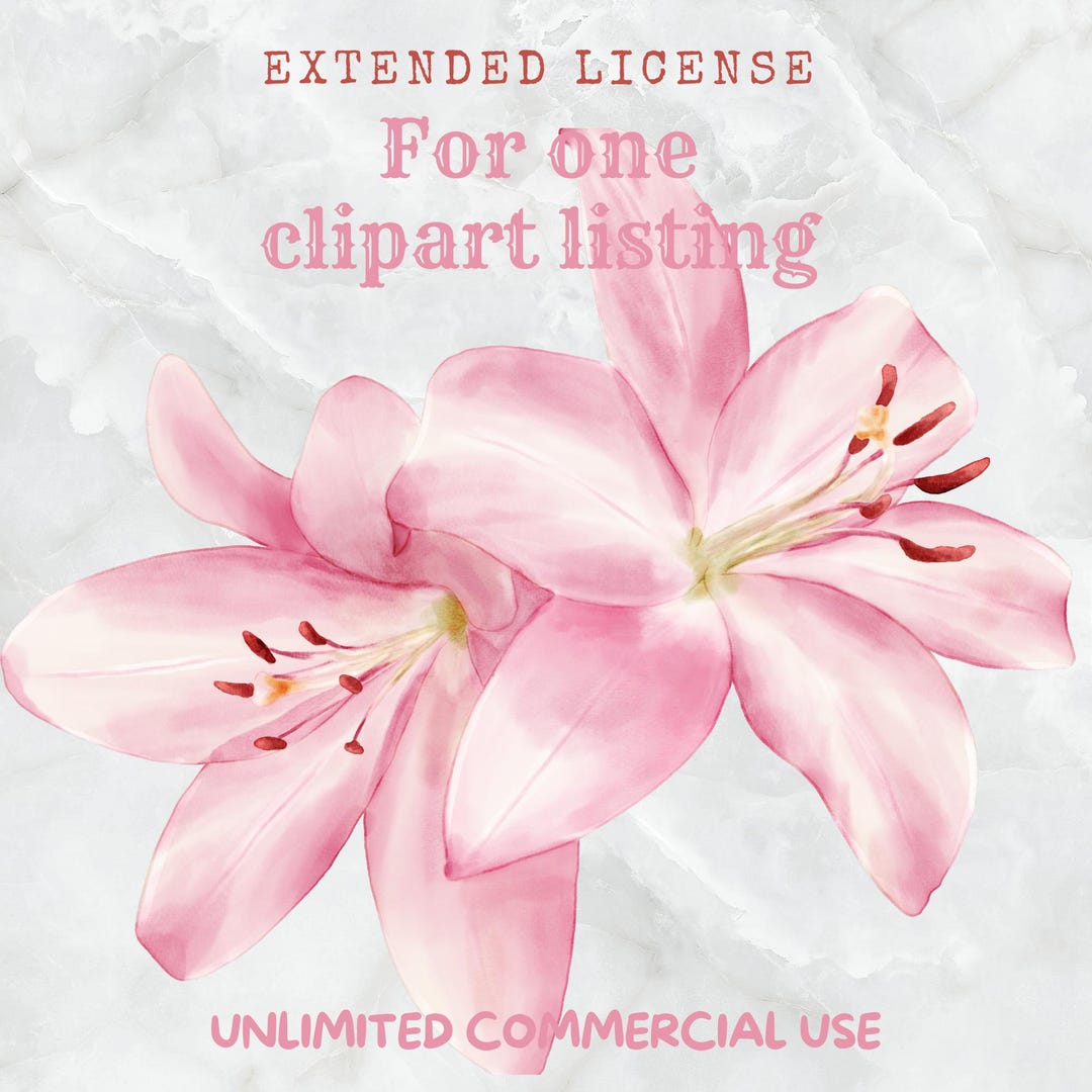Extended Commercial License for ONE Clipart Listing-ncdiva Designz - Etsy