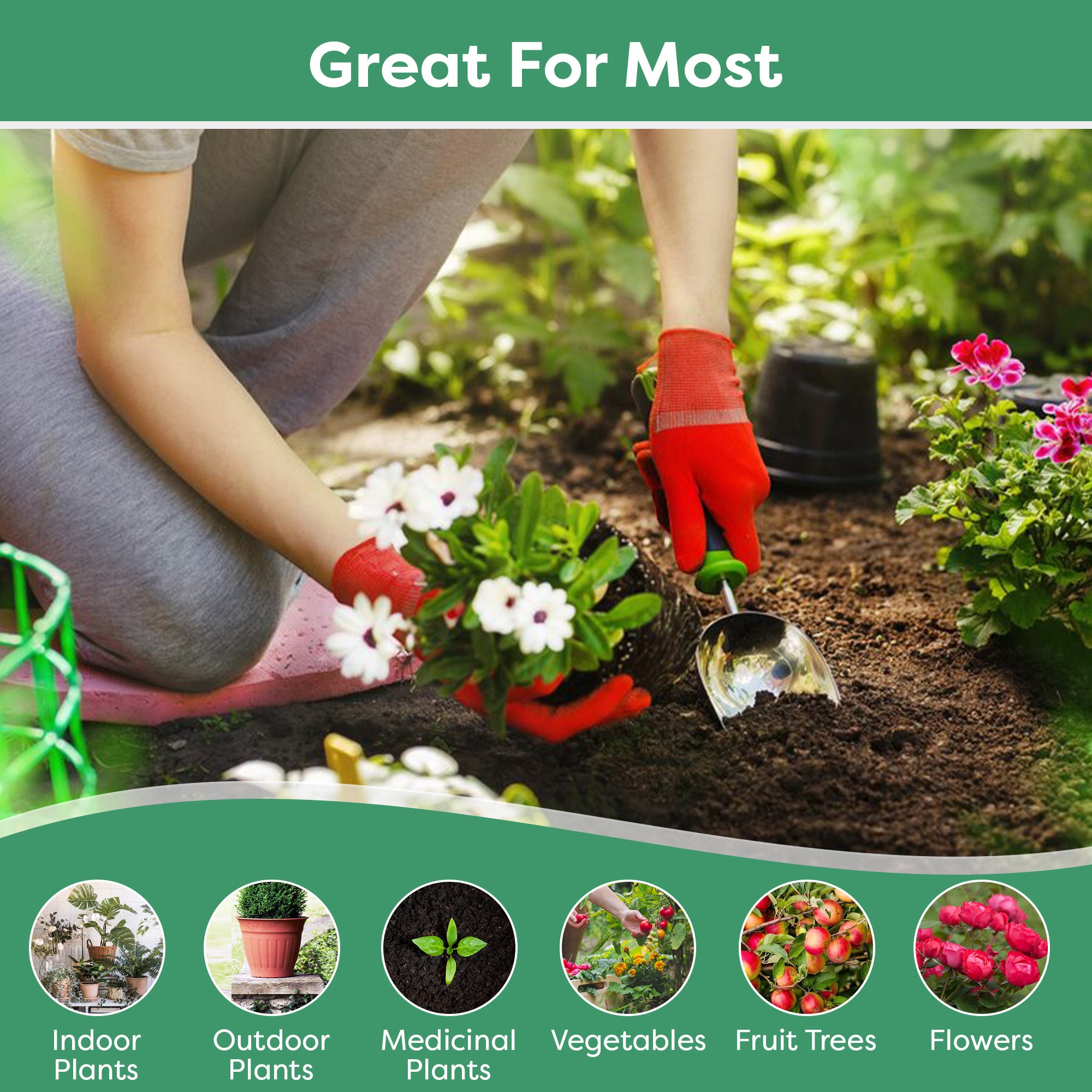 20-20-20 All Purpose Water Soluble Fertilizer: Indoor/outdoor Plant ...
