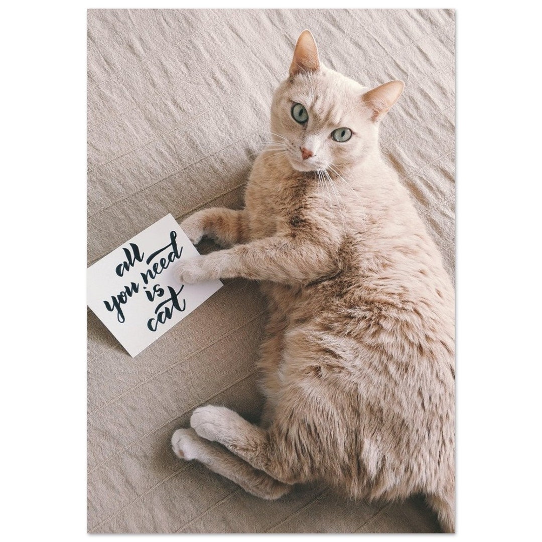 Motivational Cat Poster Aluminum Print - Etsy