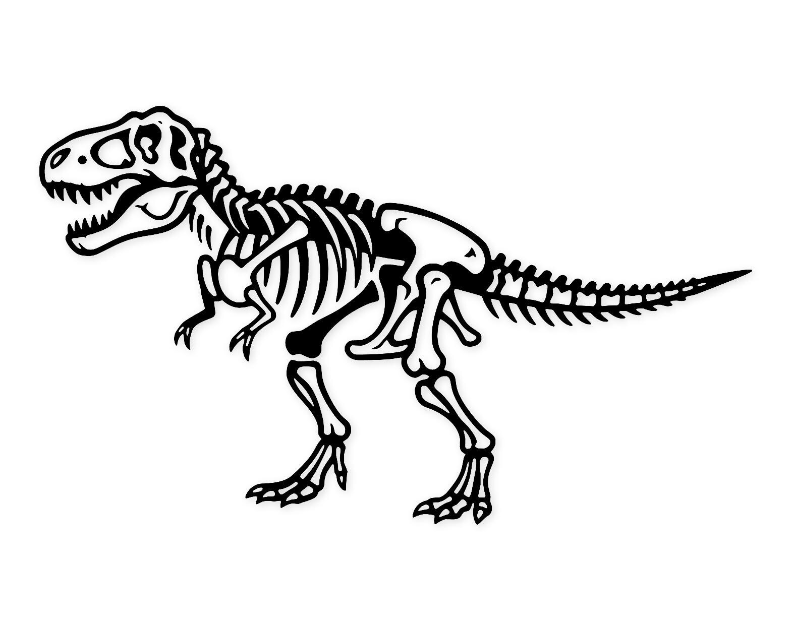 T-rex Skeleton Svg Png: Bold Outline for T-shirts and Wall Art - Etsy