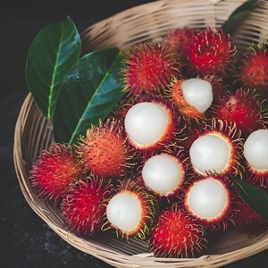 Grafted Rambutan Binjai Fruit Tree, Top Quality Fast Fruiting - Etsy