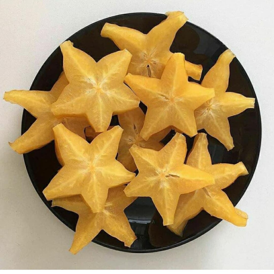 Grafted Starfruit Honey Fruit Tree, Top Quality Fast Fruiting - Etsy