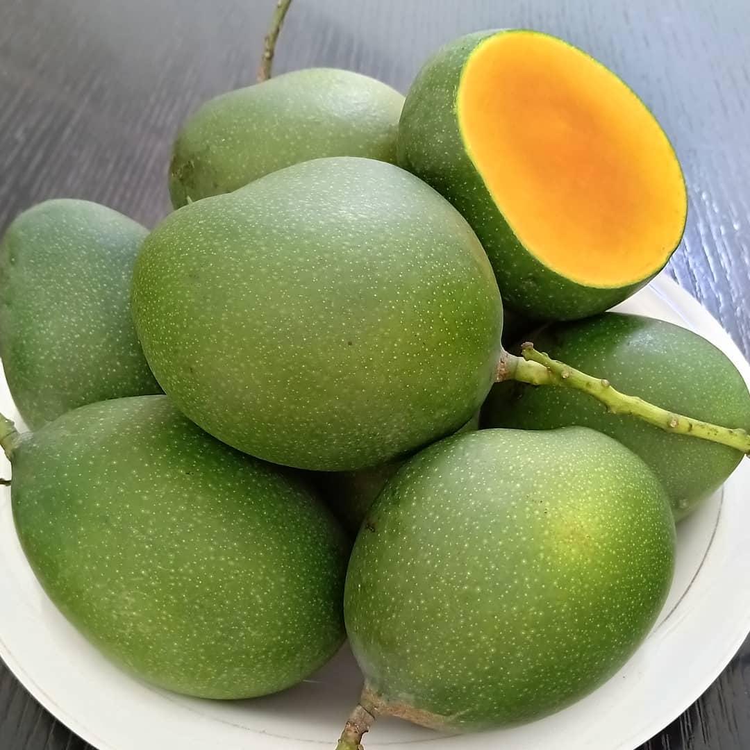Grafted Mango Lali Jiwo Fruit Tree, Top Quality Fast Fruiting - Etsy