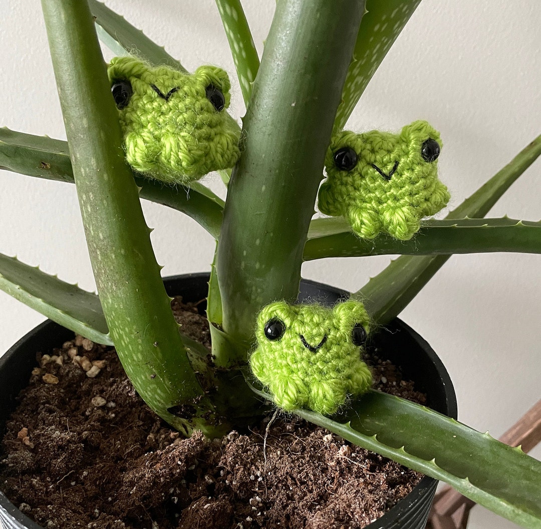 Pocket Frog - Etsy