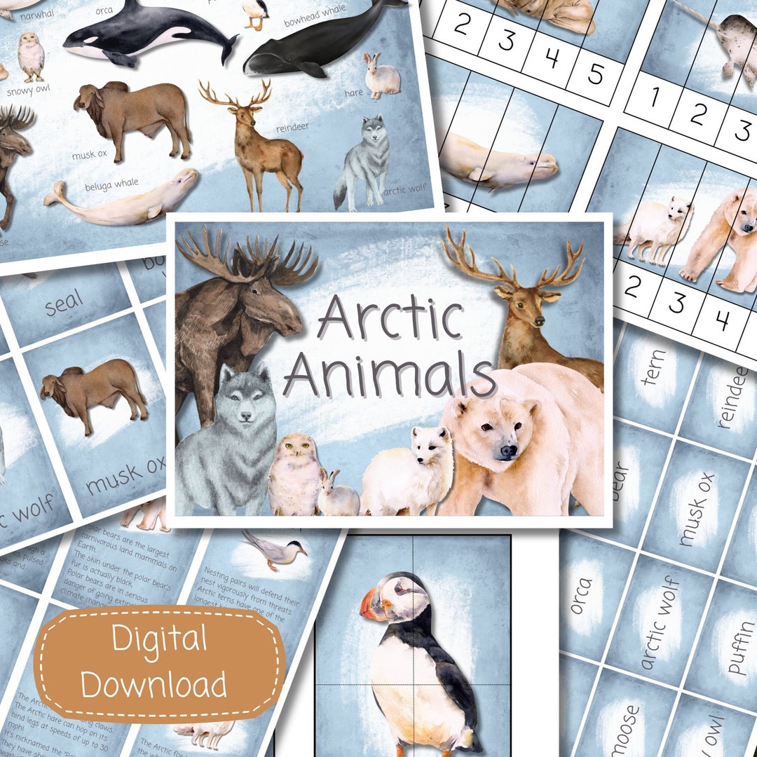 Arctic Animals Flashcards and Learning Materials Home Education ...
