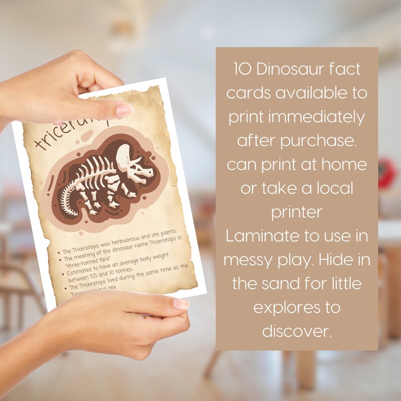 Dinosaur Fossil Flashcards Montessori Home Education Teacher Resources ...