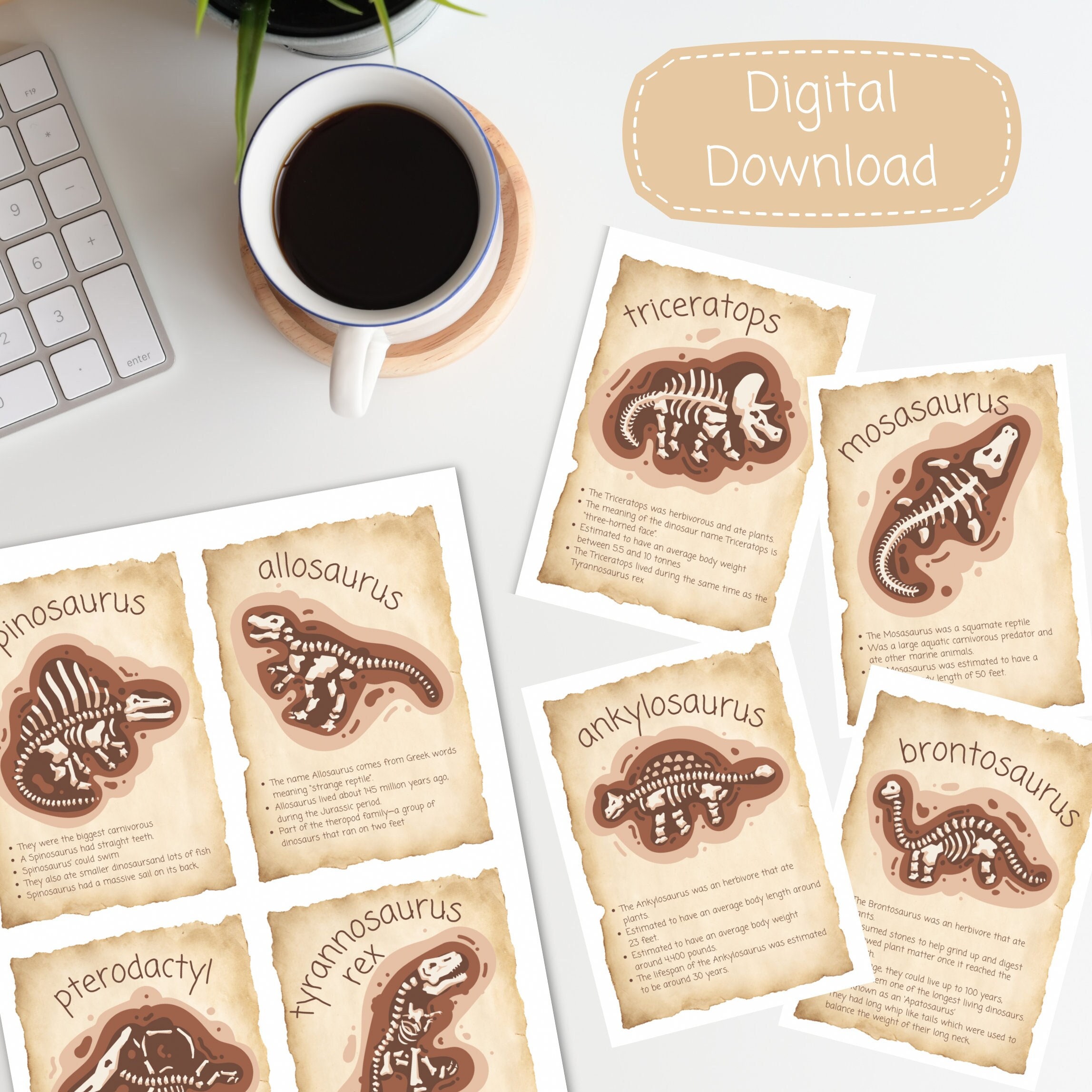 Dinosaur Fossil Flashcards Montessori Home Education Teacher Resources ...