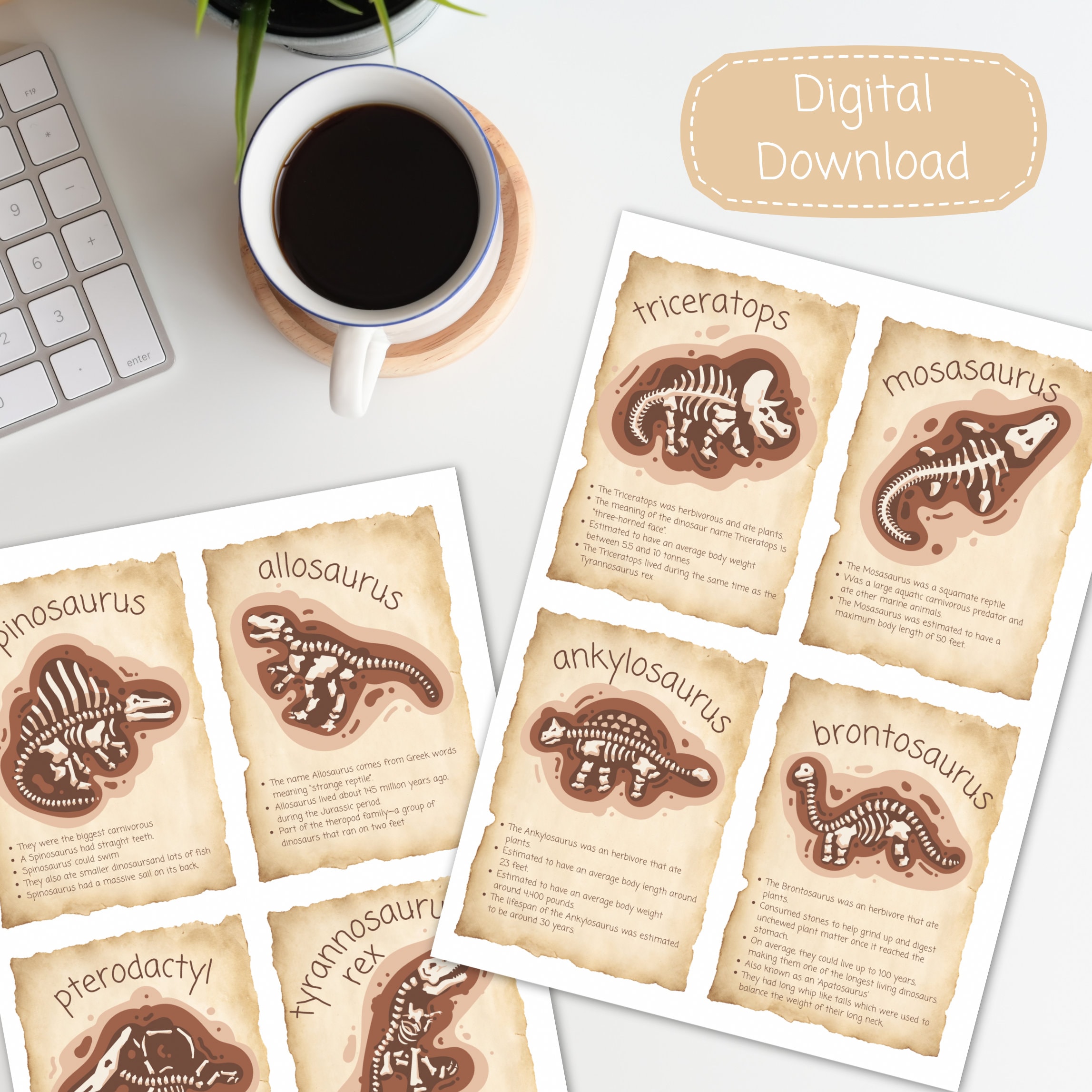 Dinosaur Fossil Flashcards Montessori Home Education Teacher Resources ...