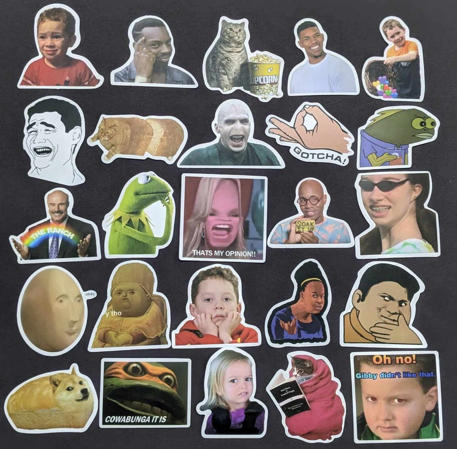 10x Popular Internet Influencer Meme Stickers, No Repeats - Etsy