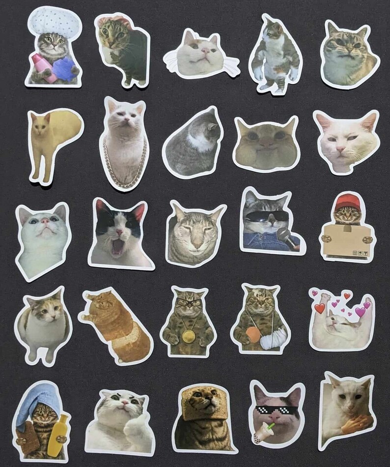 50x Funny Cat Meme Stickers, No Repeats - Etsy