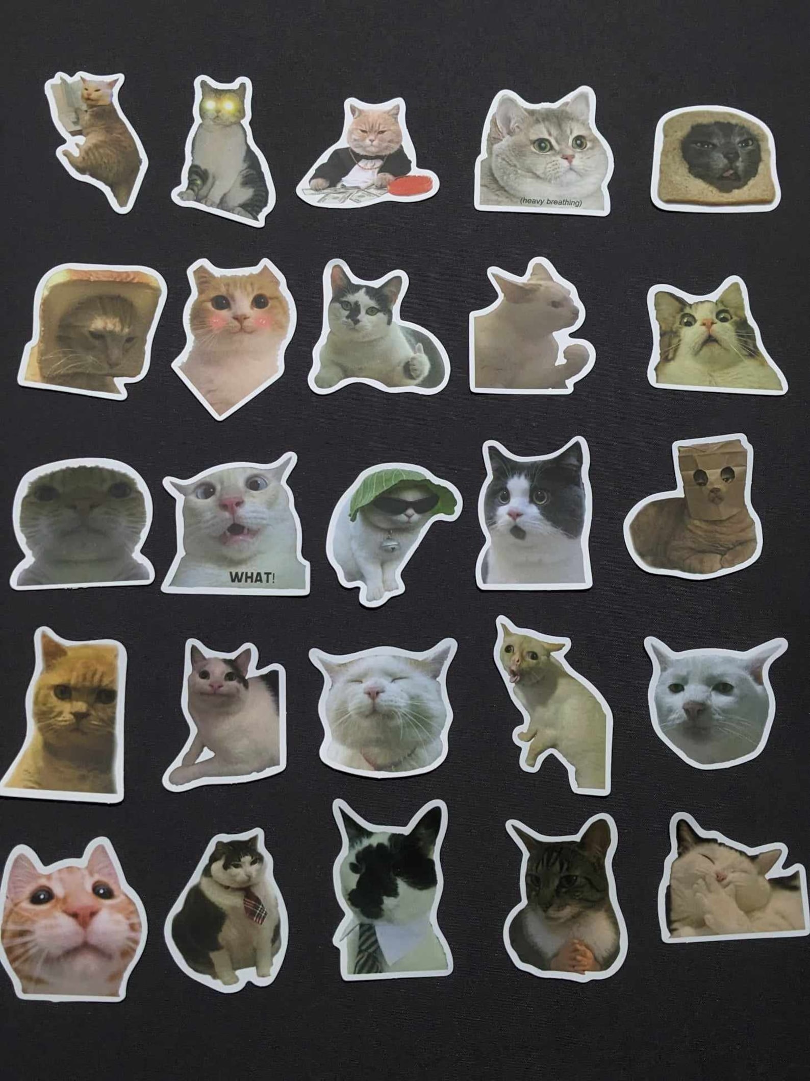 10x Funny Cat Meme Stickers, No Repeats - Etsy