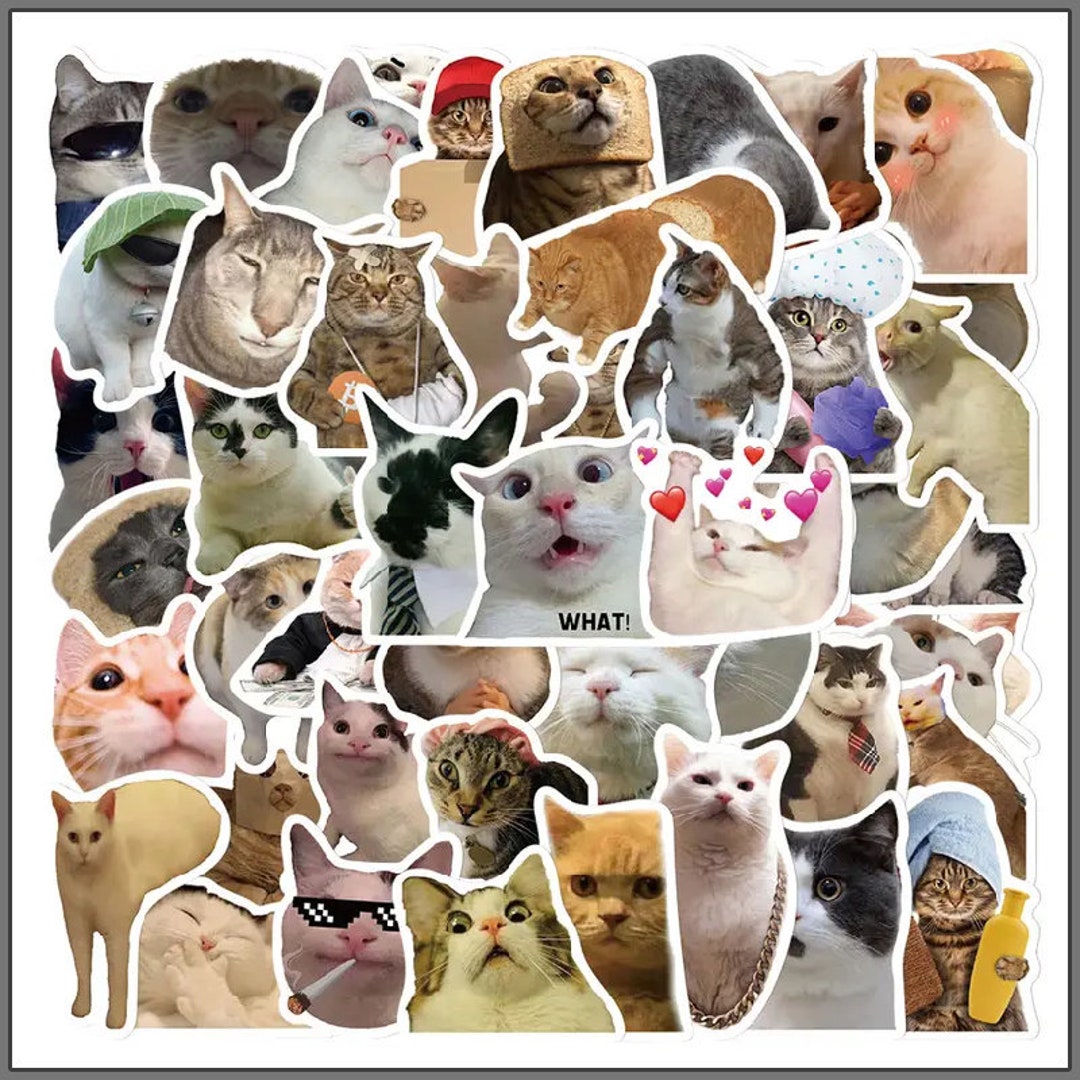 10/50pcs Funny Cat Meme Stickers - Etsy